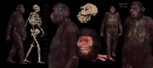 What’s a Hominid? What’s a Hominin? Is there a difference? – World of ...