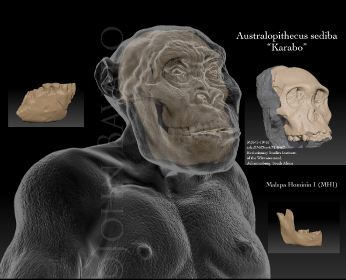 Interview Two: John Bavaro – World of Paleoanthropology