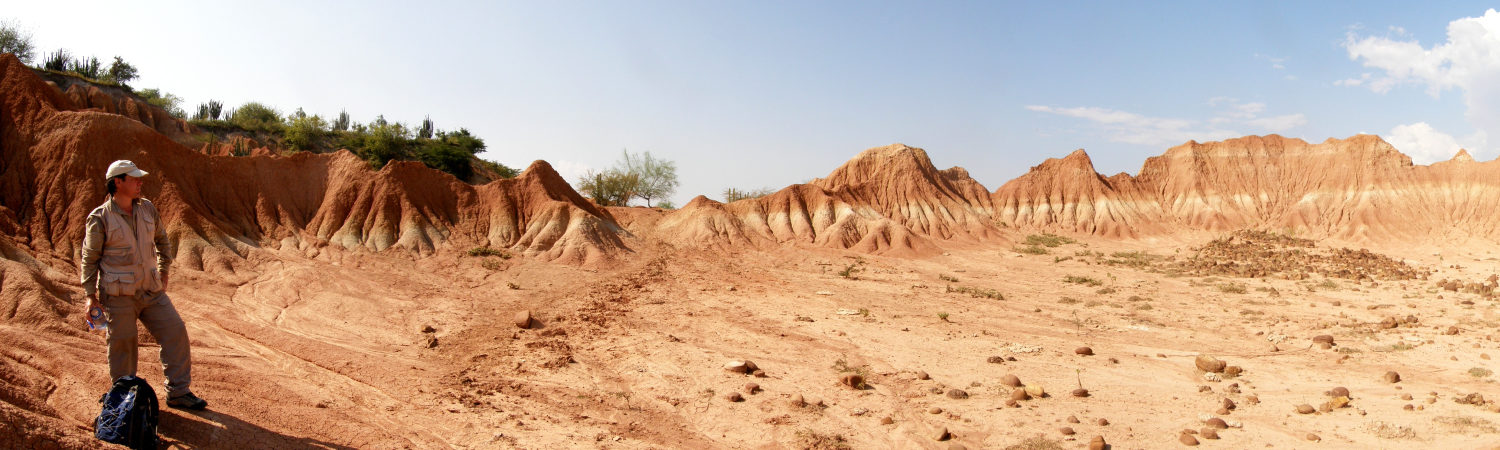 Interview Three: Meredith Johnson from The Leakey Foundation – World of ...