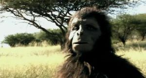 What’s a Hominid? What’s a Hominin? Is there a difference? – World of ...