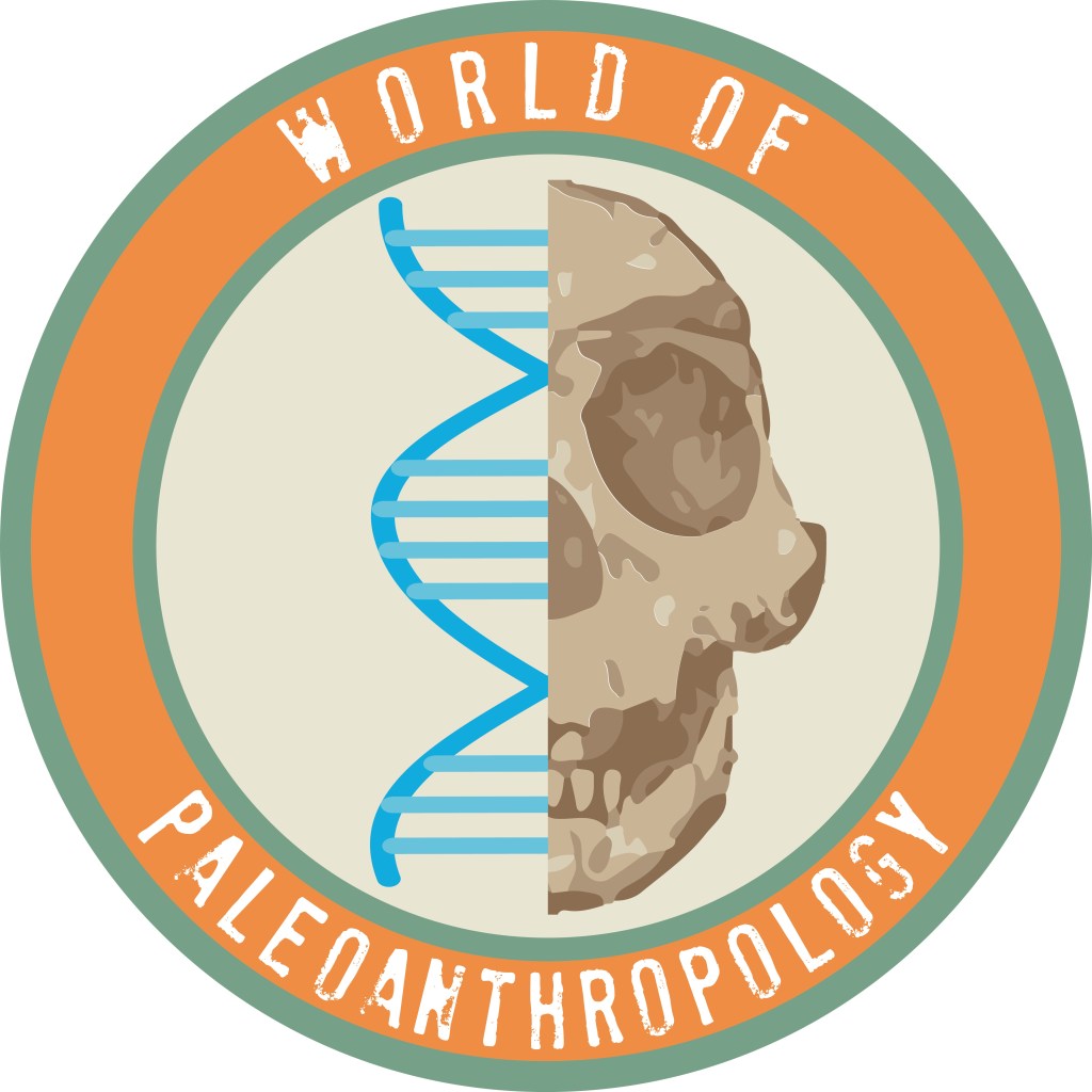 The World of Paleoanthropology and its Effects on Modern Anthropology ...