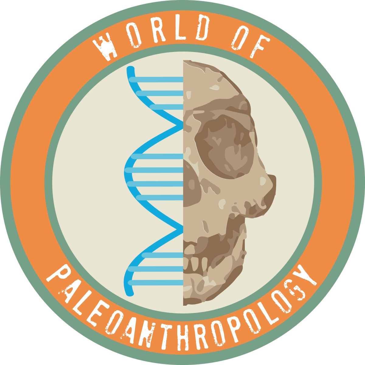 The World of Paleoanthropology and its Effects on Modern Anthropology ...