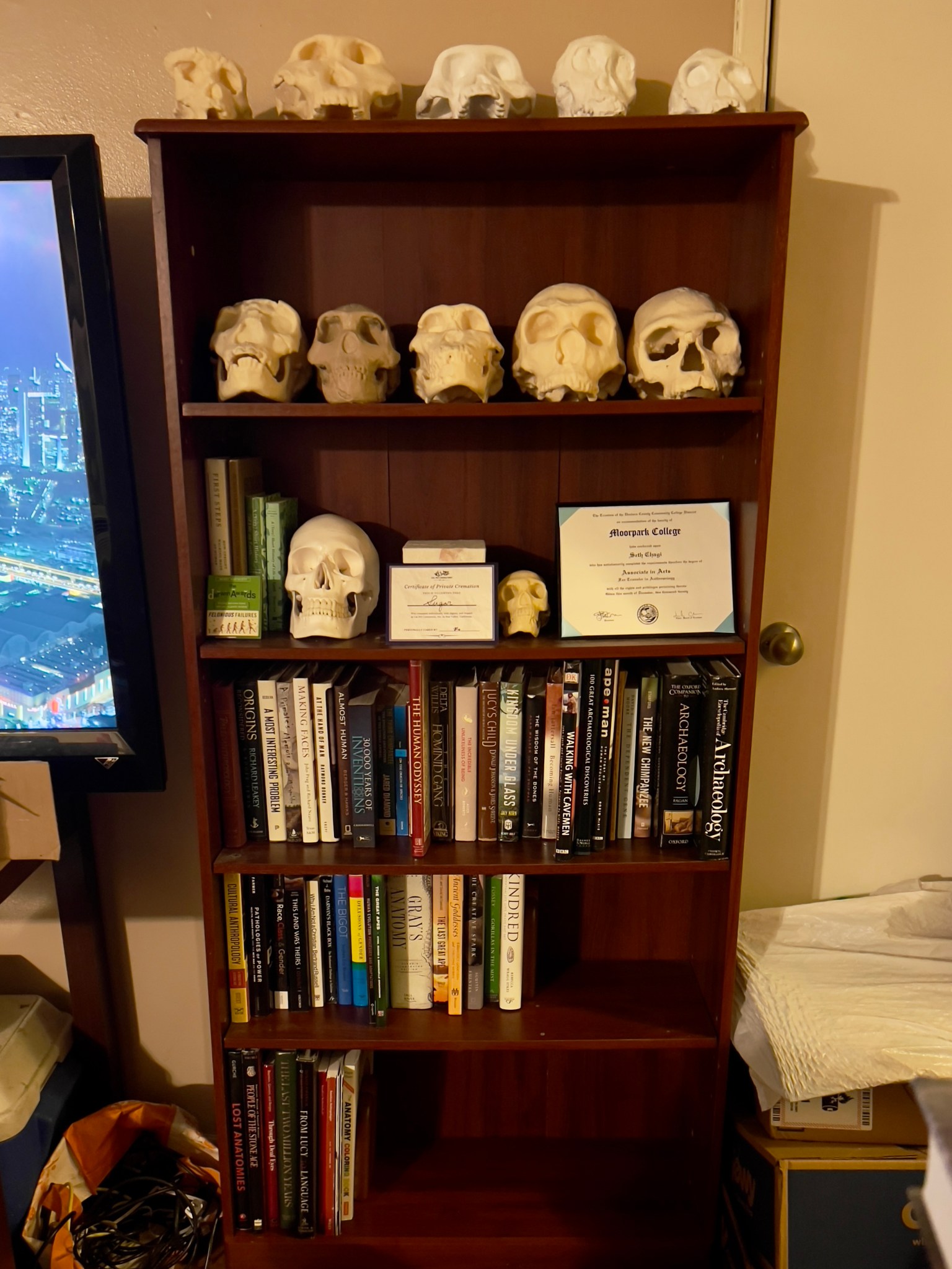 My Anthropology Library! – World of Paleoanthropology