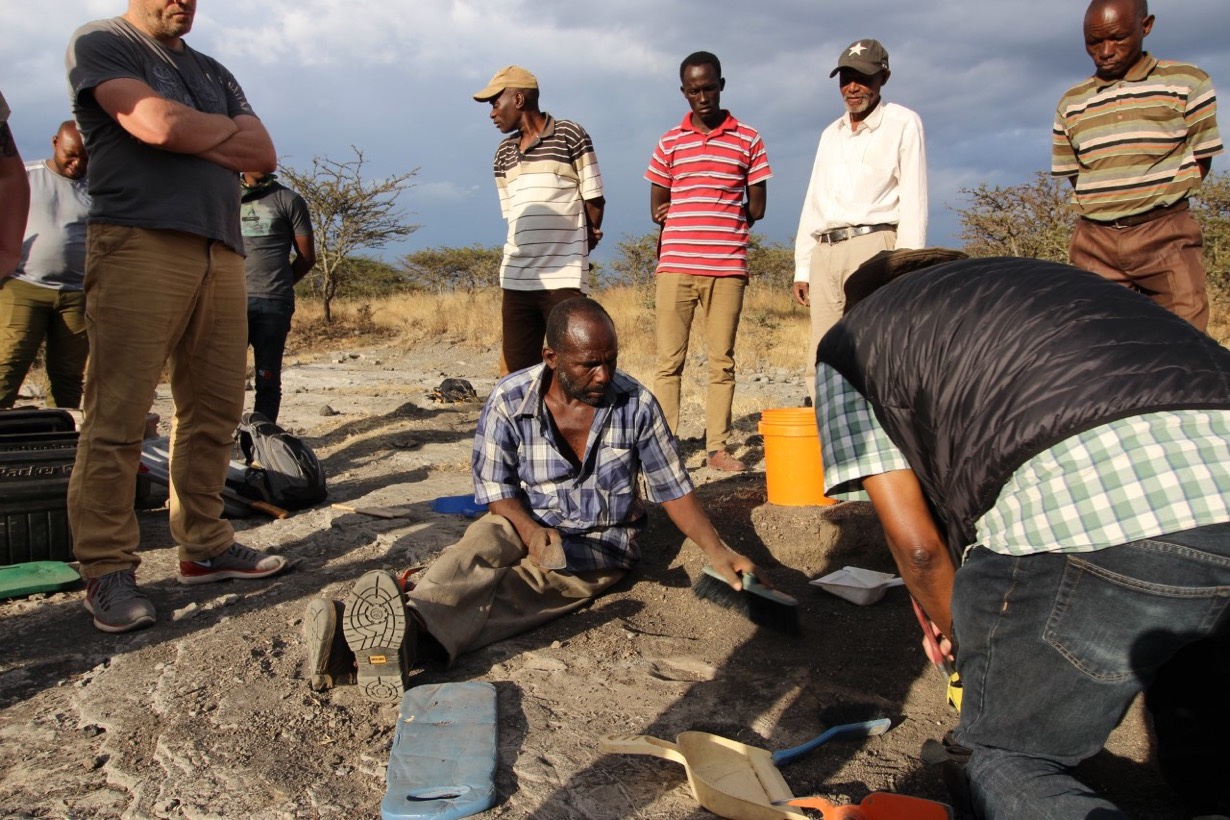 A Planet of Apes – World of Paleoanthropology