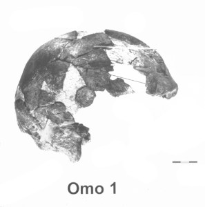 The Oldest Modern Humans are now 36k years older than originally ...