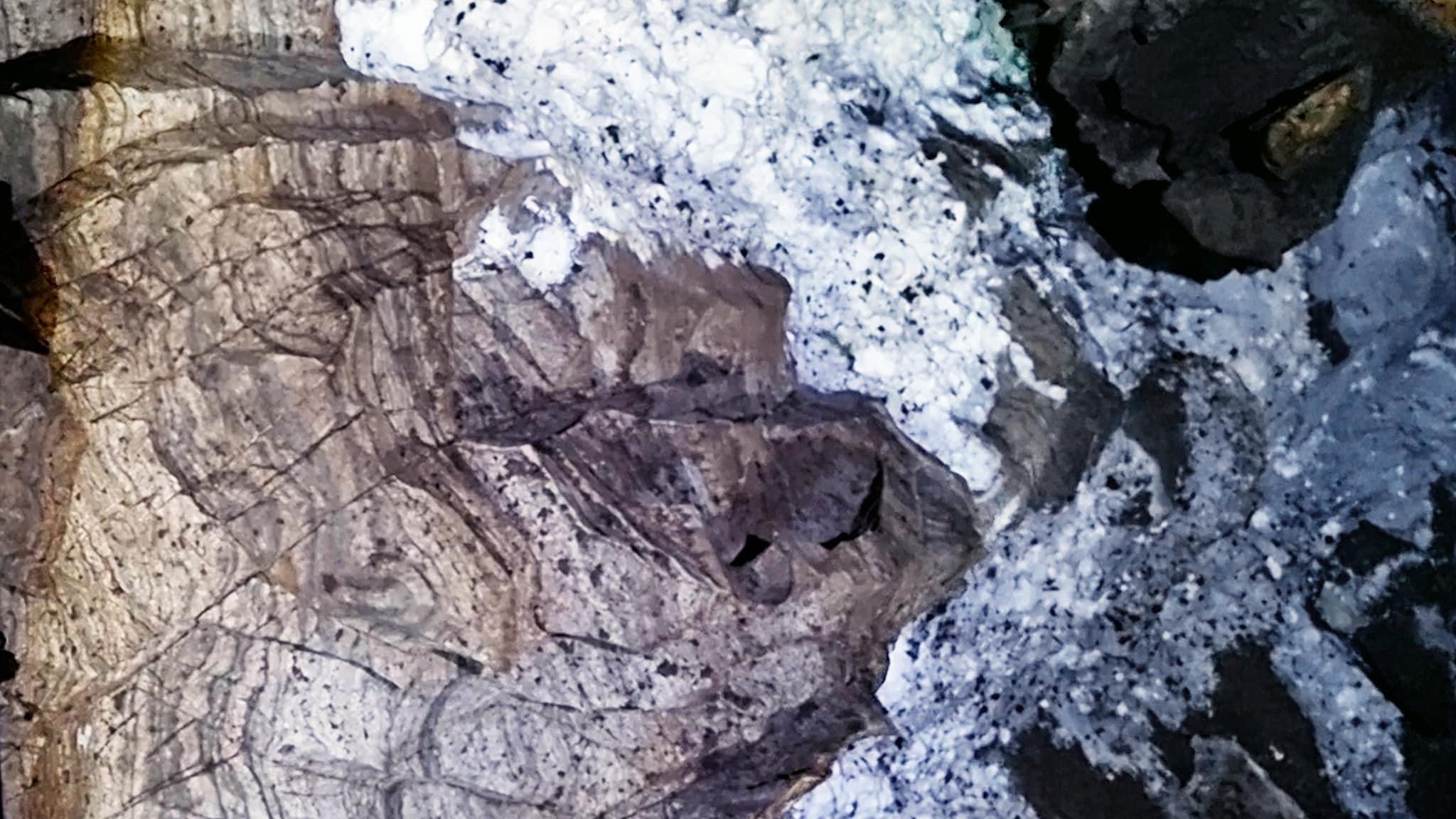 Fire and Homo naledi – World of Paleoanthropology