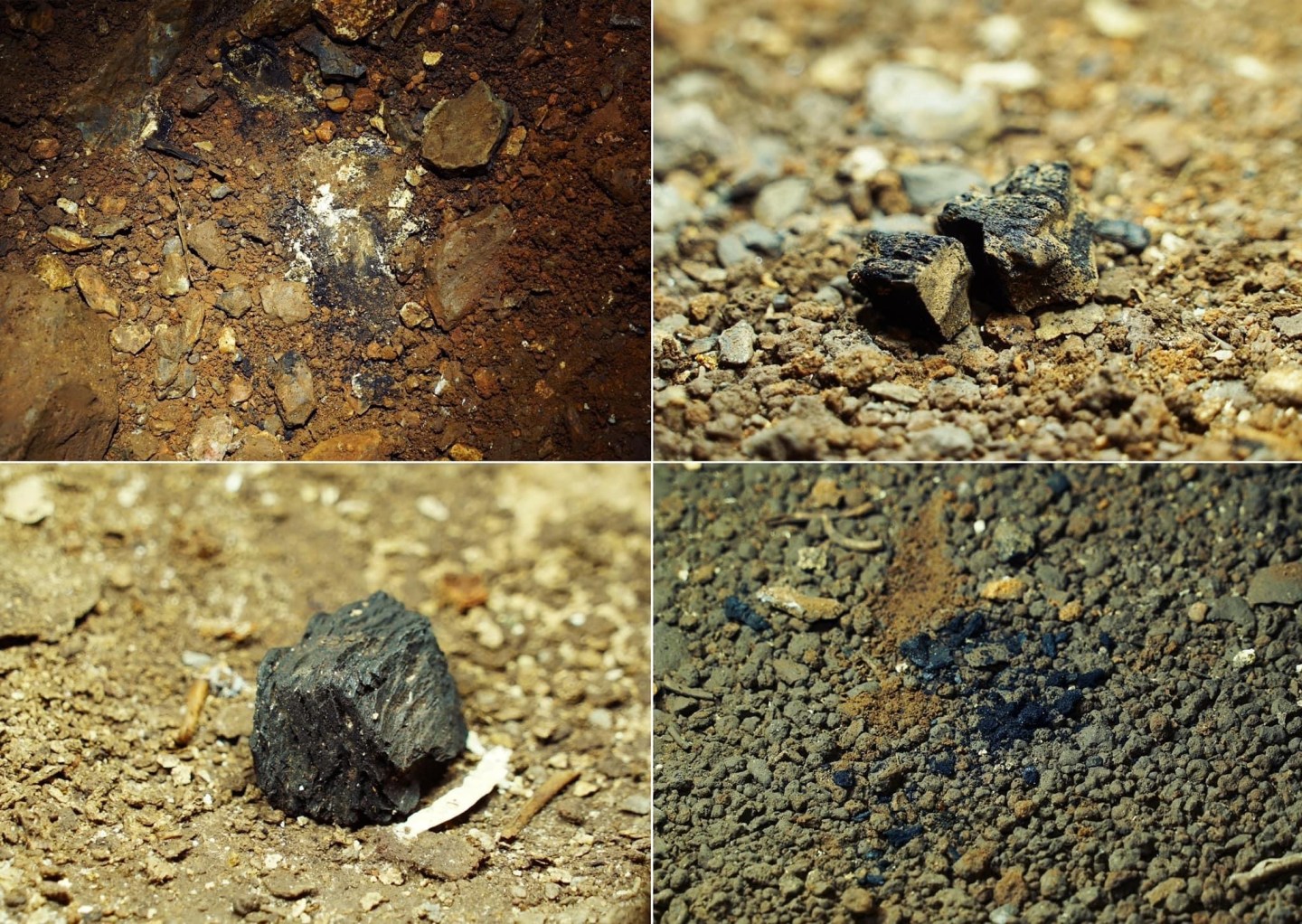 Fire and Homo naledi – World of Paleoanthropology