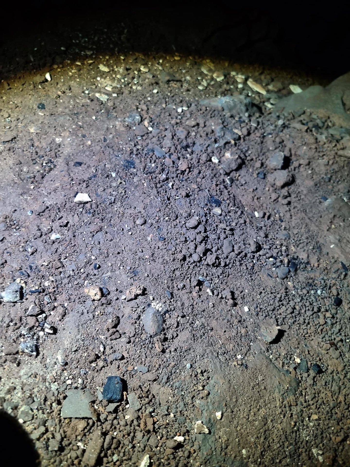 Fire and Homo naledi – World of Paleoanthropology