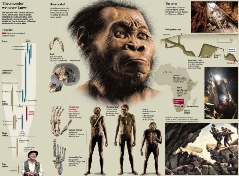 How Human Evolution Shapes Our Future – World of Paleoanthropology