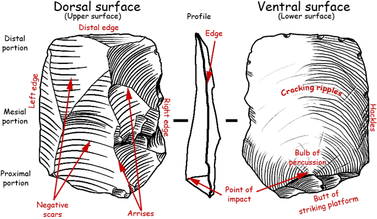 Lithics, Stone Tools, and What they Are! – World of Paleoanthropology