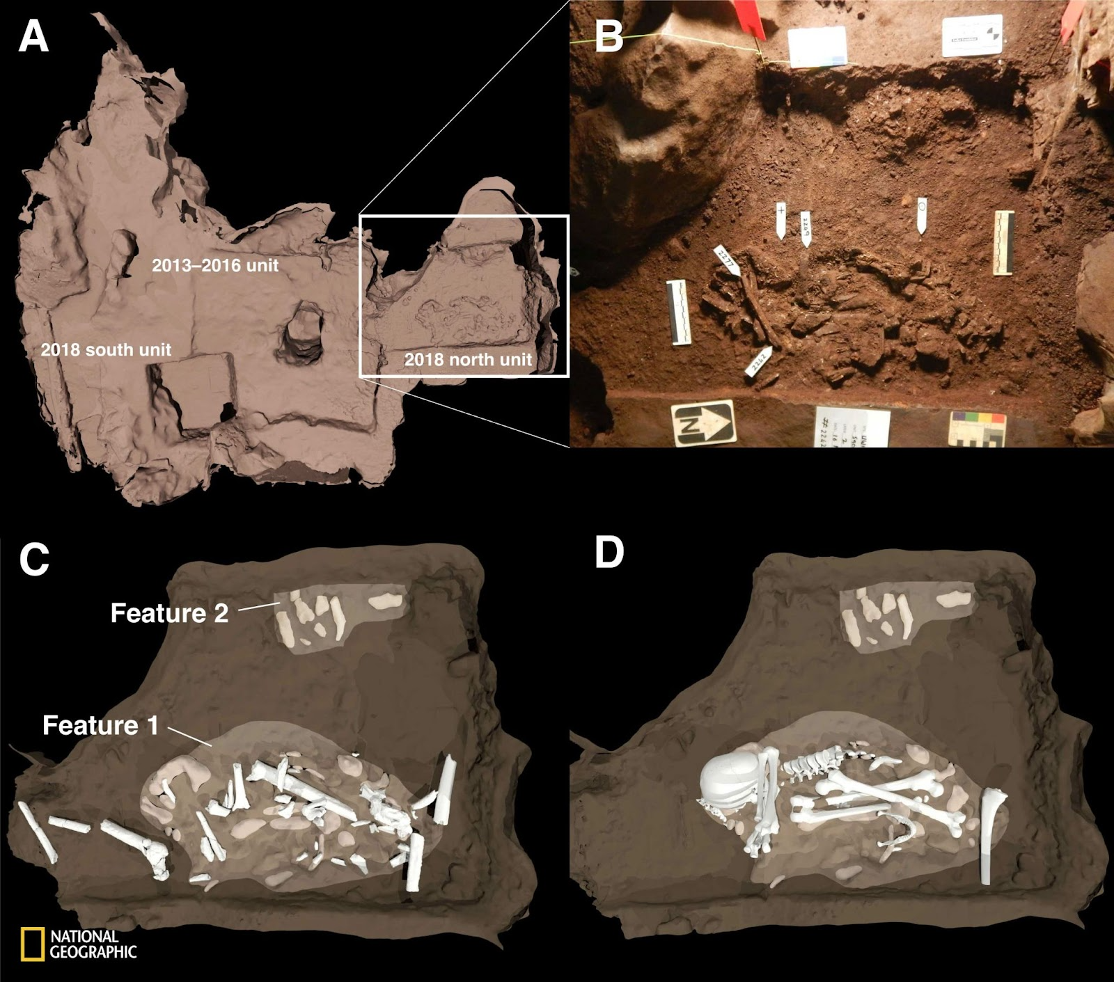 Beyond the Grave: Burial and the Human Condition in Deep Time – World ...