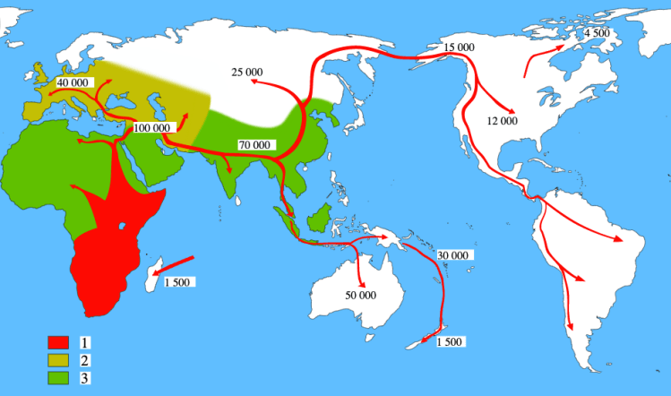 When did Homo erectus first leave Africa?-Guest post by Mekhi – World ...