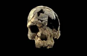 Baby Faces-How Neoteny Affected Our Evolution-Guest Post by Mekhi ...