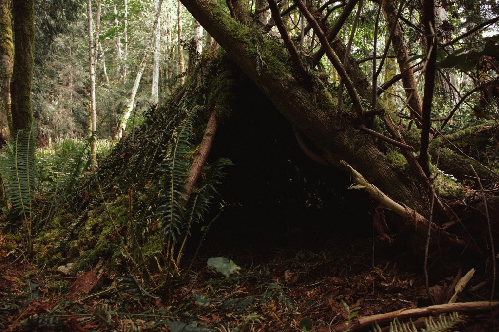 Hominin Homes – World of Paleoanthropology