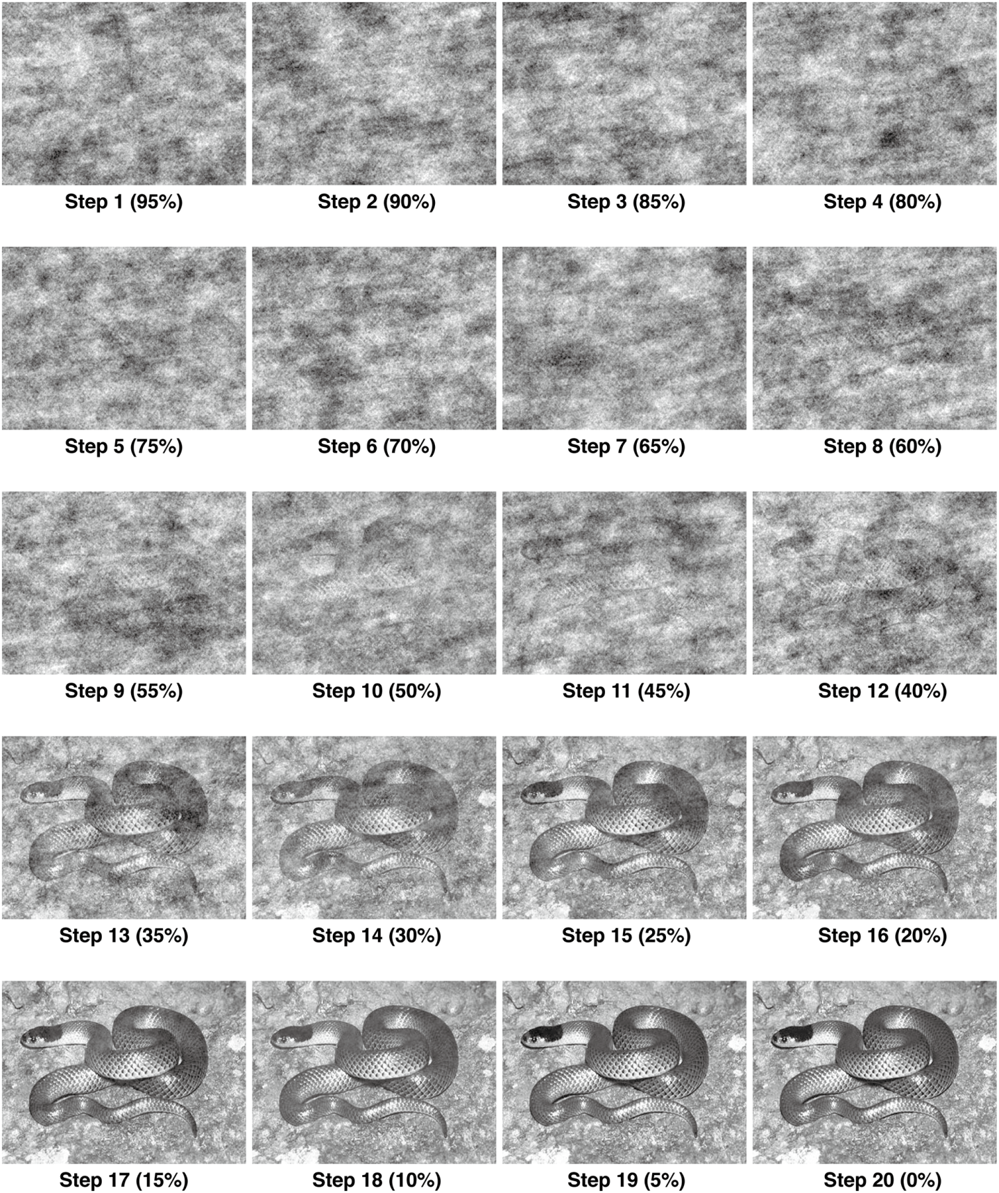 Snake Detection Theory: Did Snakes Play a Role in Primate Evolution ...