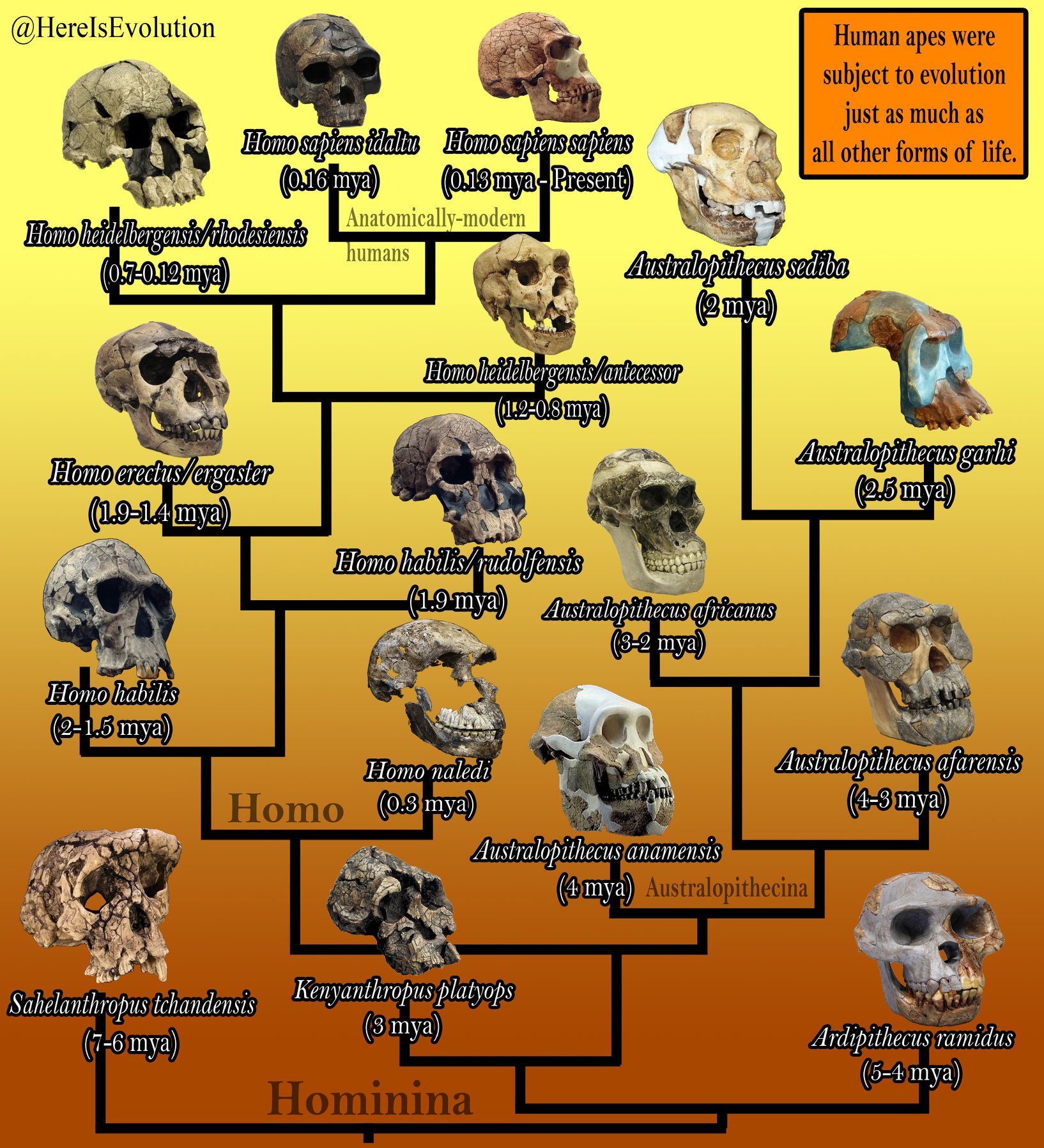 How We Know that Africa is the Birthplace of Humankind – World of ...