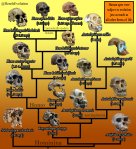 How We Know that Africa is the Birthplace of Humankind – World of ...