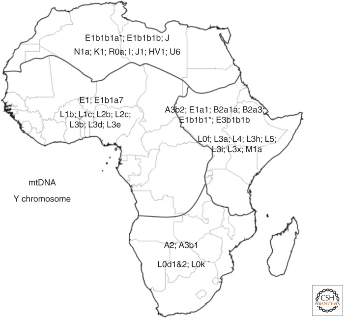 How We Know that Africa is the Birthplace of Humankind – World of ...