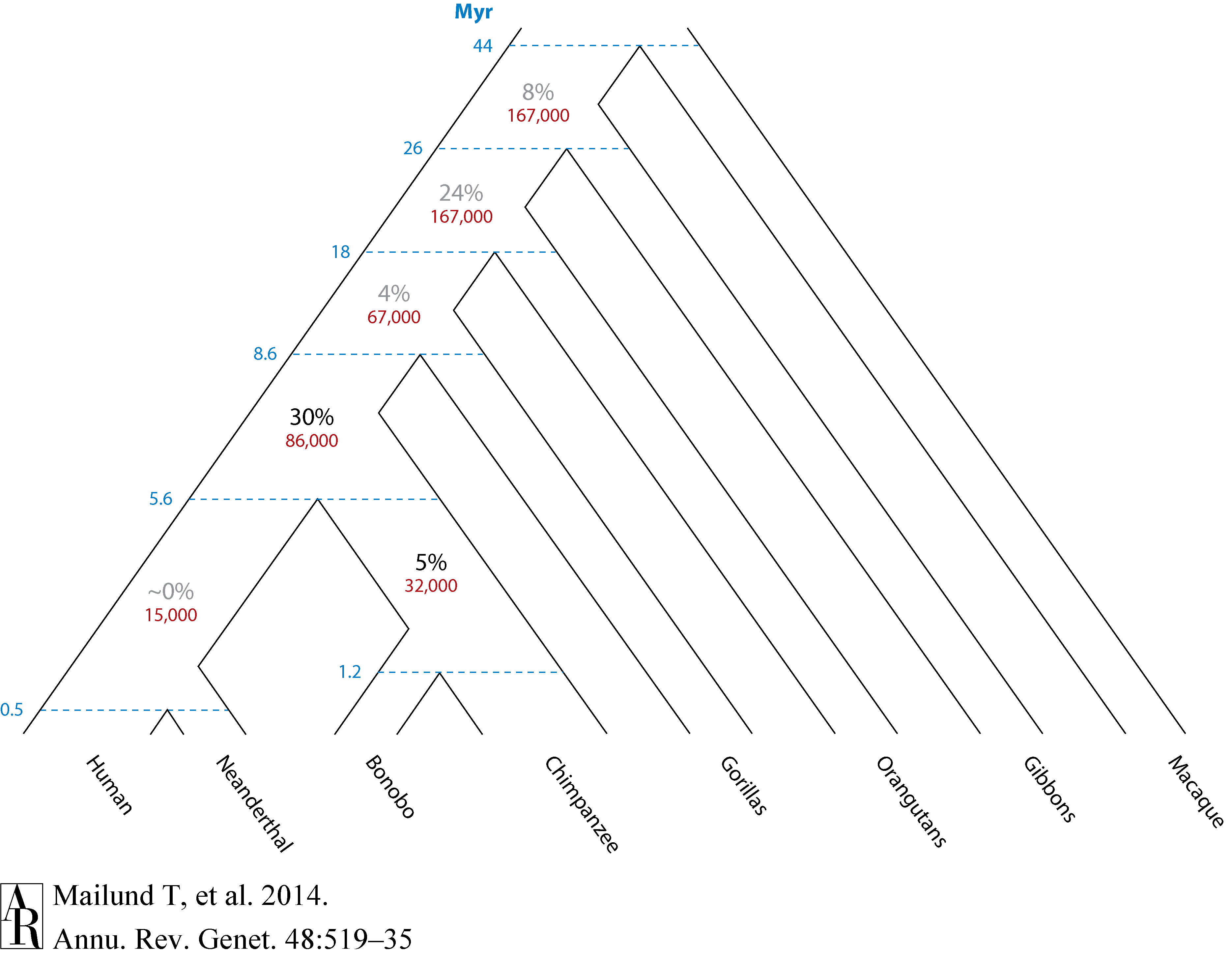 How We Know that Africa is the Birthplace of Humankind – World of ...