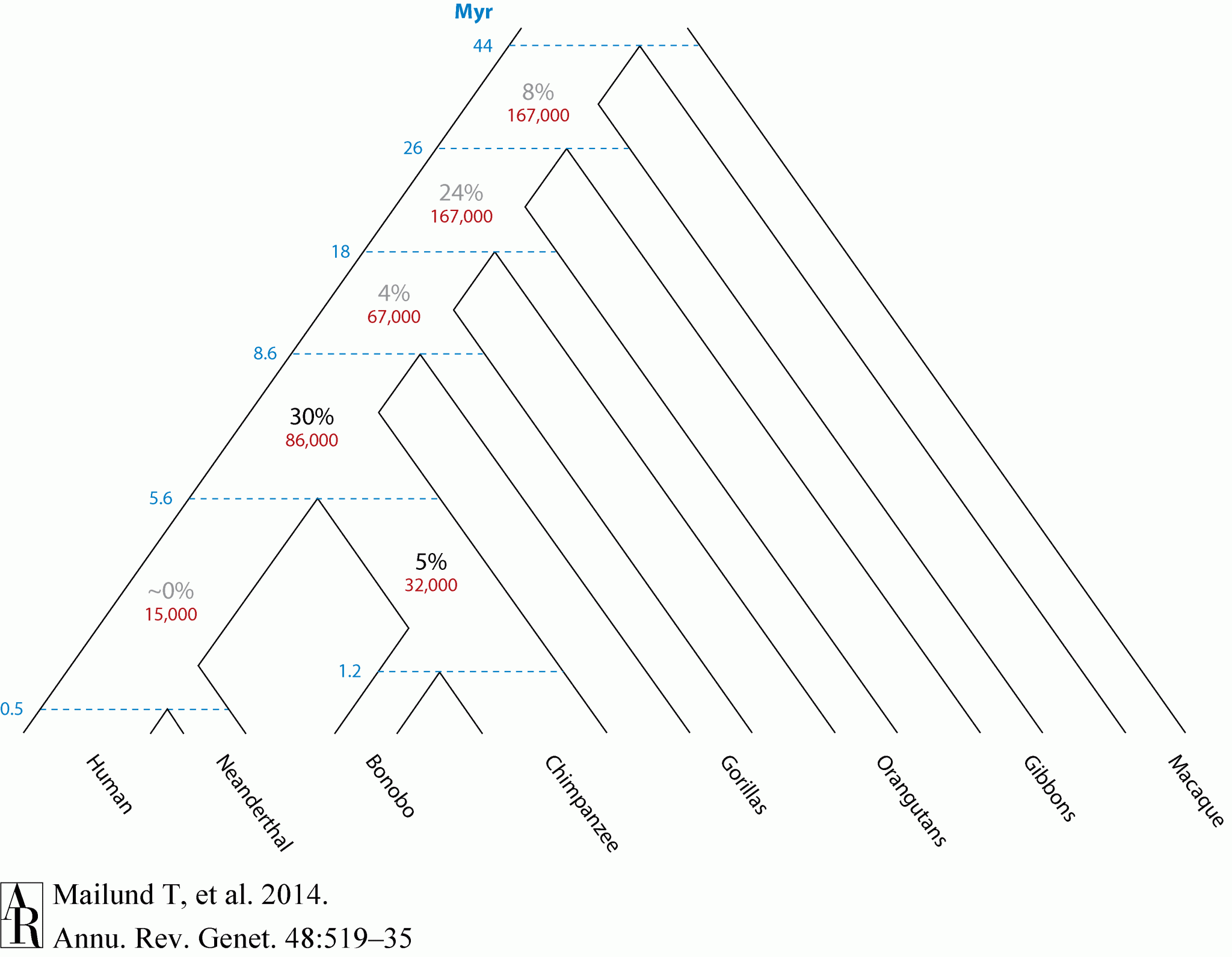 How We Know that Africa is the Birthplace of Humankind – World of ...