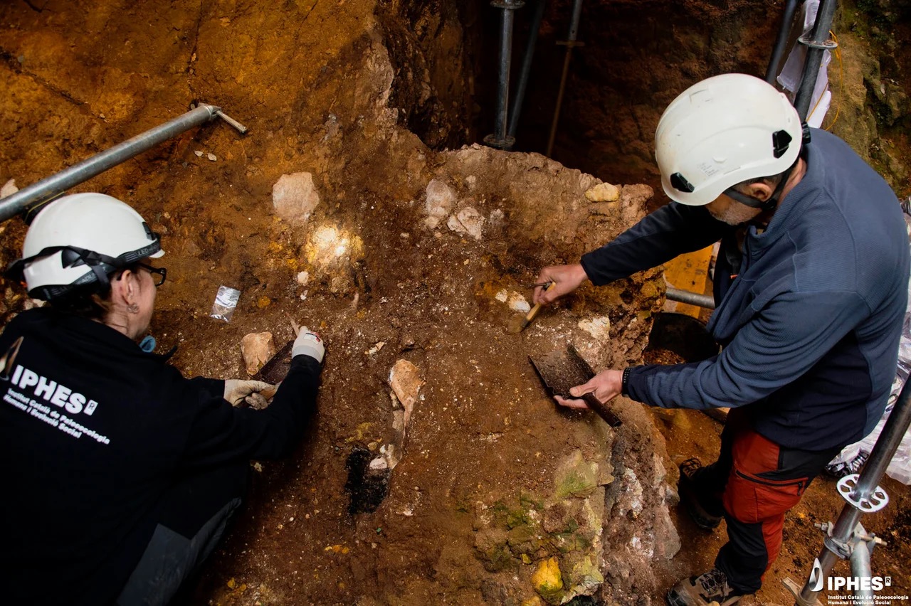 Unearthing “Pink”: A Transformative Discovery in Human Evolution – The ...