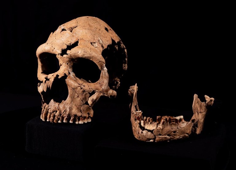Beyond the Grave: Burial and the Human Condition in Deep Time – World of Paleoanthropology