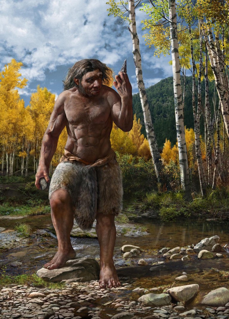 Unveiling the Dragon Man: A Breakthrough in Understanding Our Denisovan ...