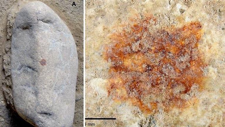 A Touch Across Time: The Neanderthal Fingerprint That Changed ...