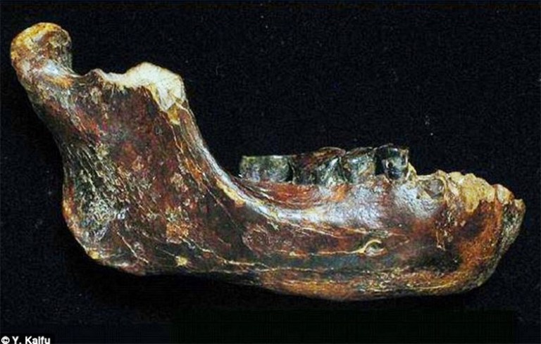 Unveiling the Denisovan Enigma: Proteomics, Morphology & Genetic Legacy ...