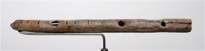 The Soundscapes of Prehistory: Echoes of Human Evolution – World of ...